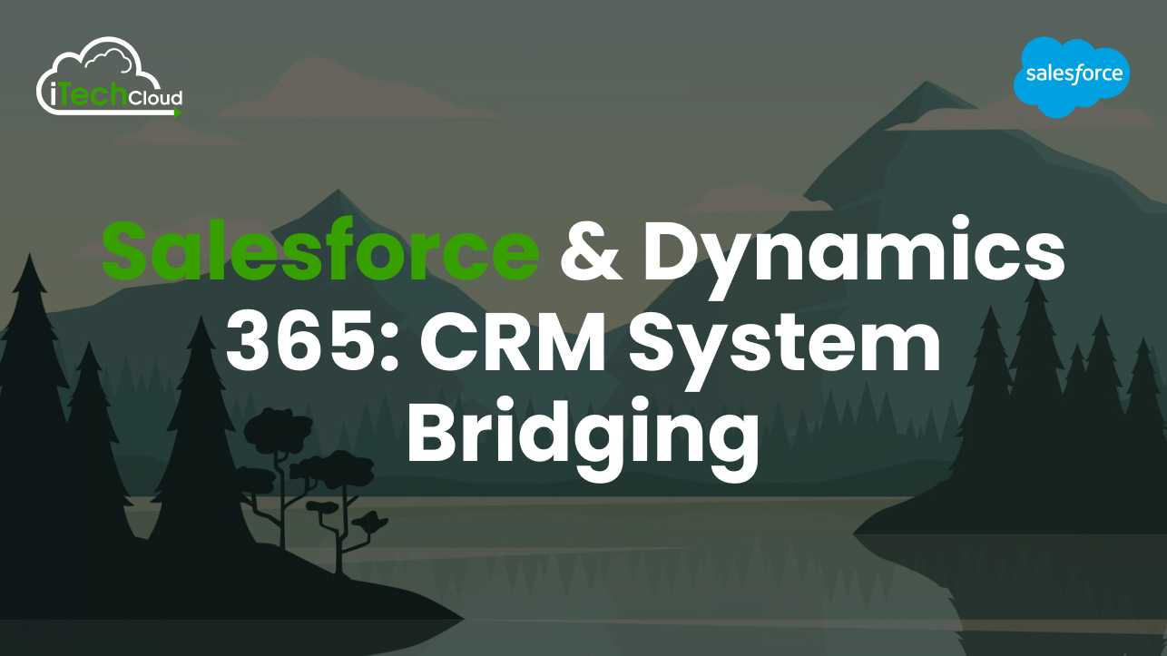 Salesforce and Dynamics 365: CRM System Bridging