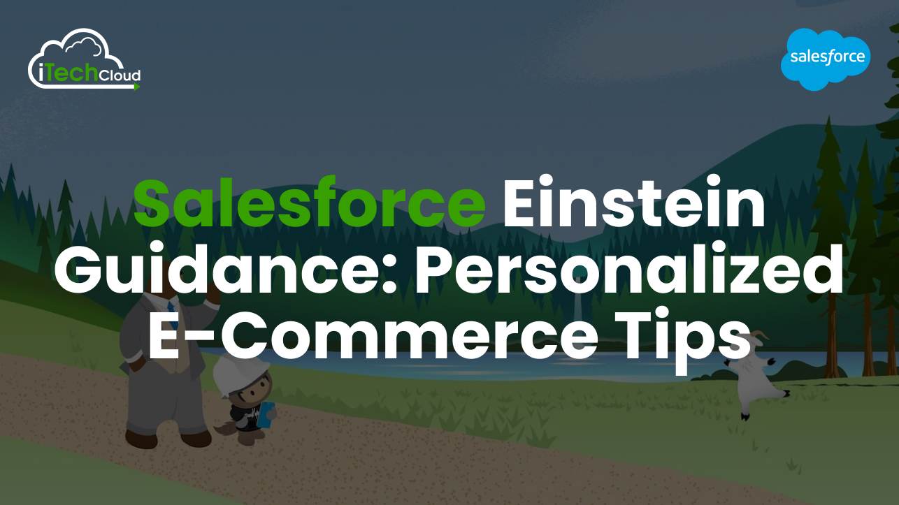Salesforce Einstein Guidance: Personalized E-commerce Tips