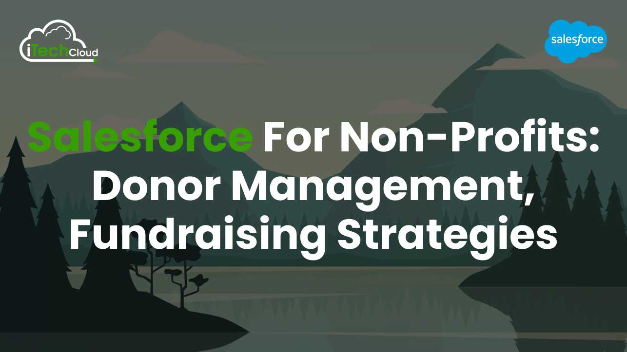 Salesforce For Nonprofits Donor Management Fundraising Strategies