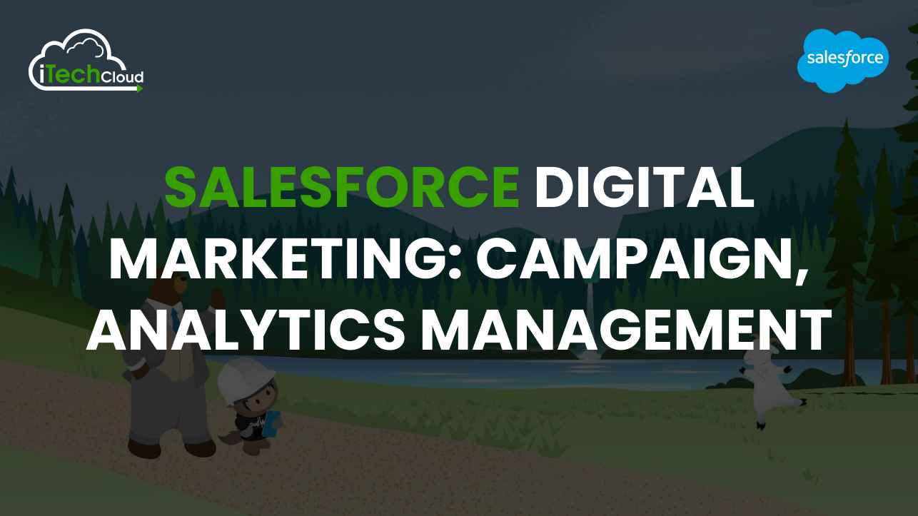 Salesforce Digital Marketing Campaign Analytics Management
